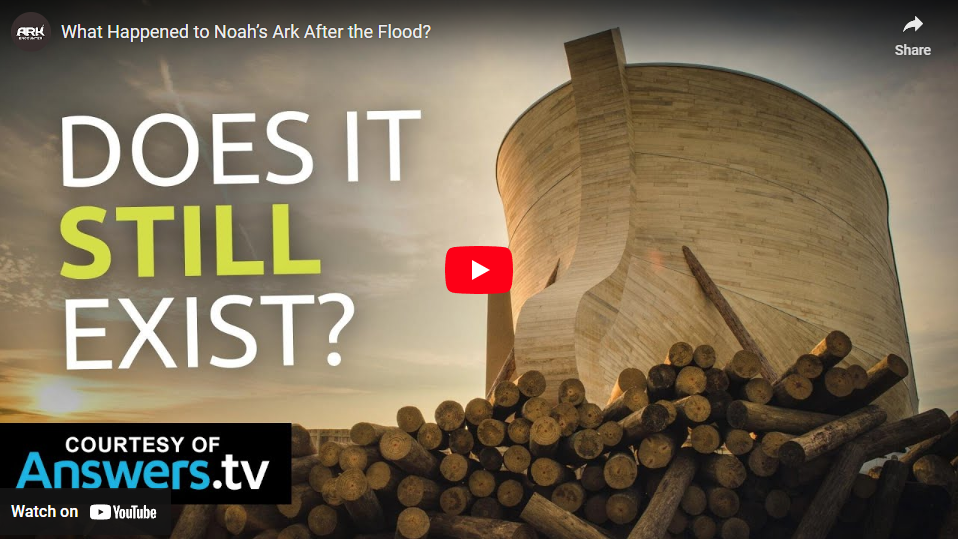 Where is Noah's Ark? » MInTheGap
